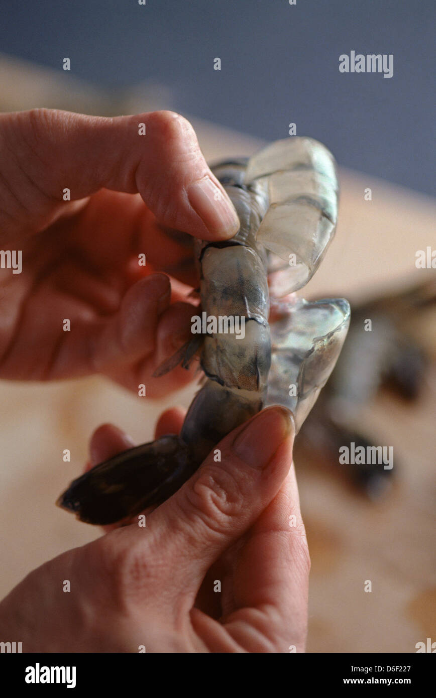 Removing the Shell from a Prawn Stock Photo - Alamy