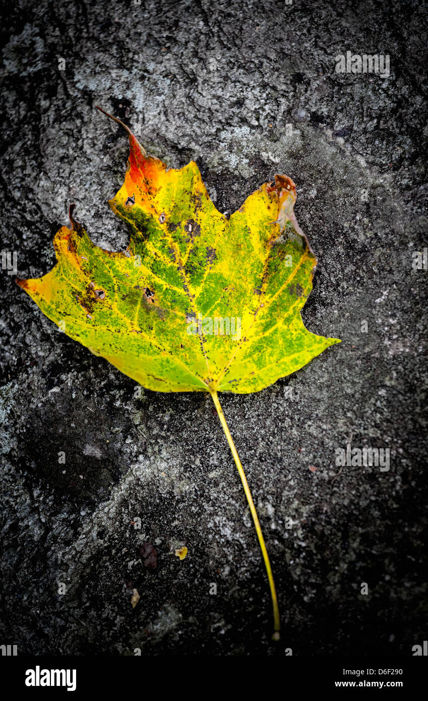 Fall background highway hi-res stock photography and images - Alamy