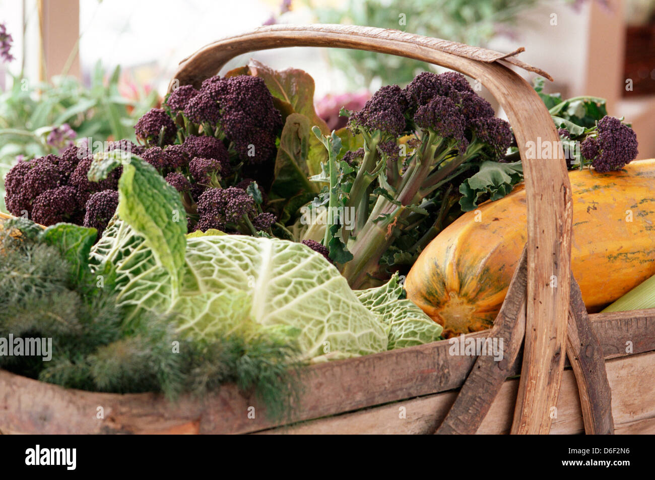 Trug of Vegetables Stock Photo - Alamy