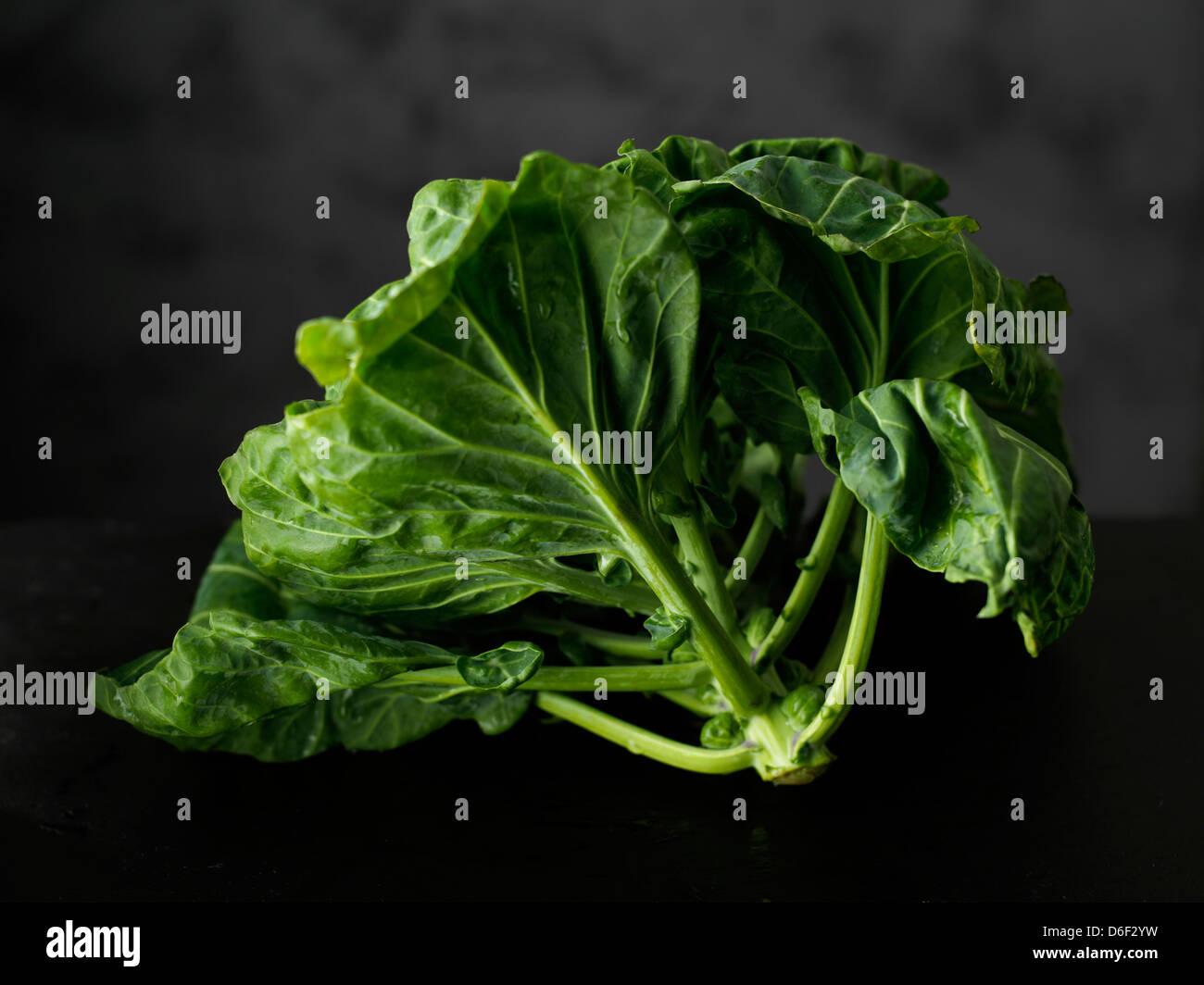 Brussel Sprout Tops Stock Photo - Alamy