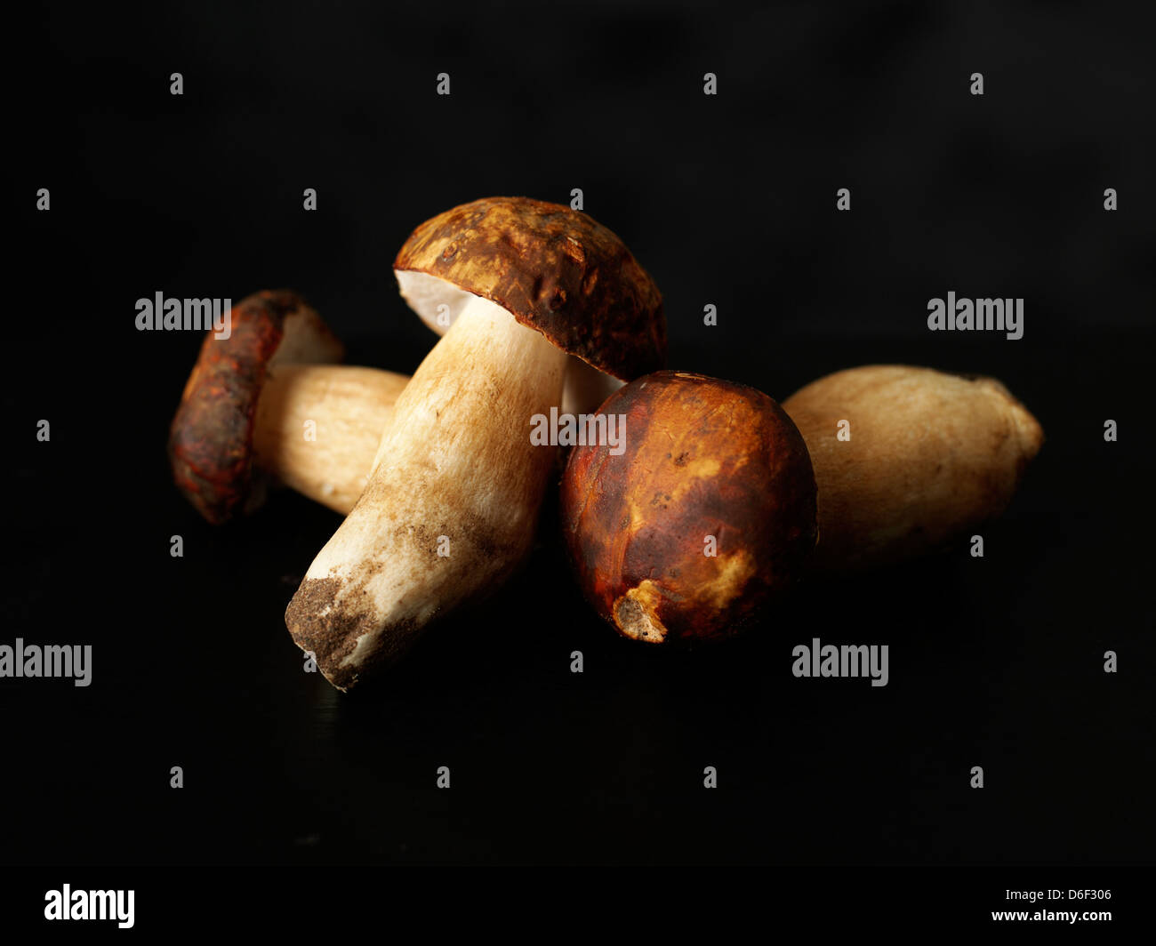 Porcinis hi-res stock photography and images - Alamy