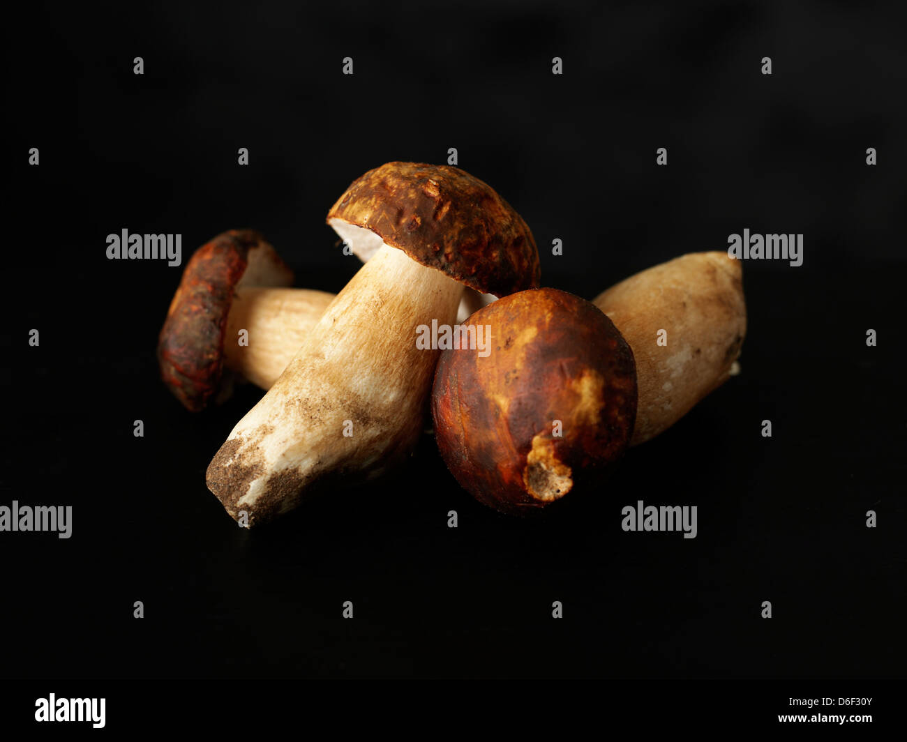 Ceps cut hi-res stock photography and images - Alamy