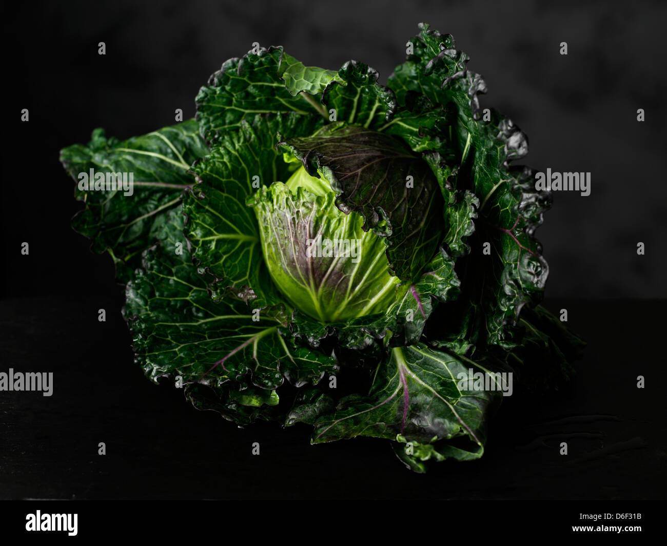 King cabbage hi-res stock photography and images - Alamy