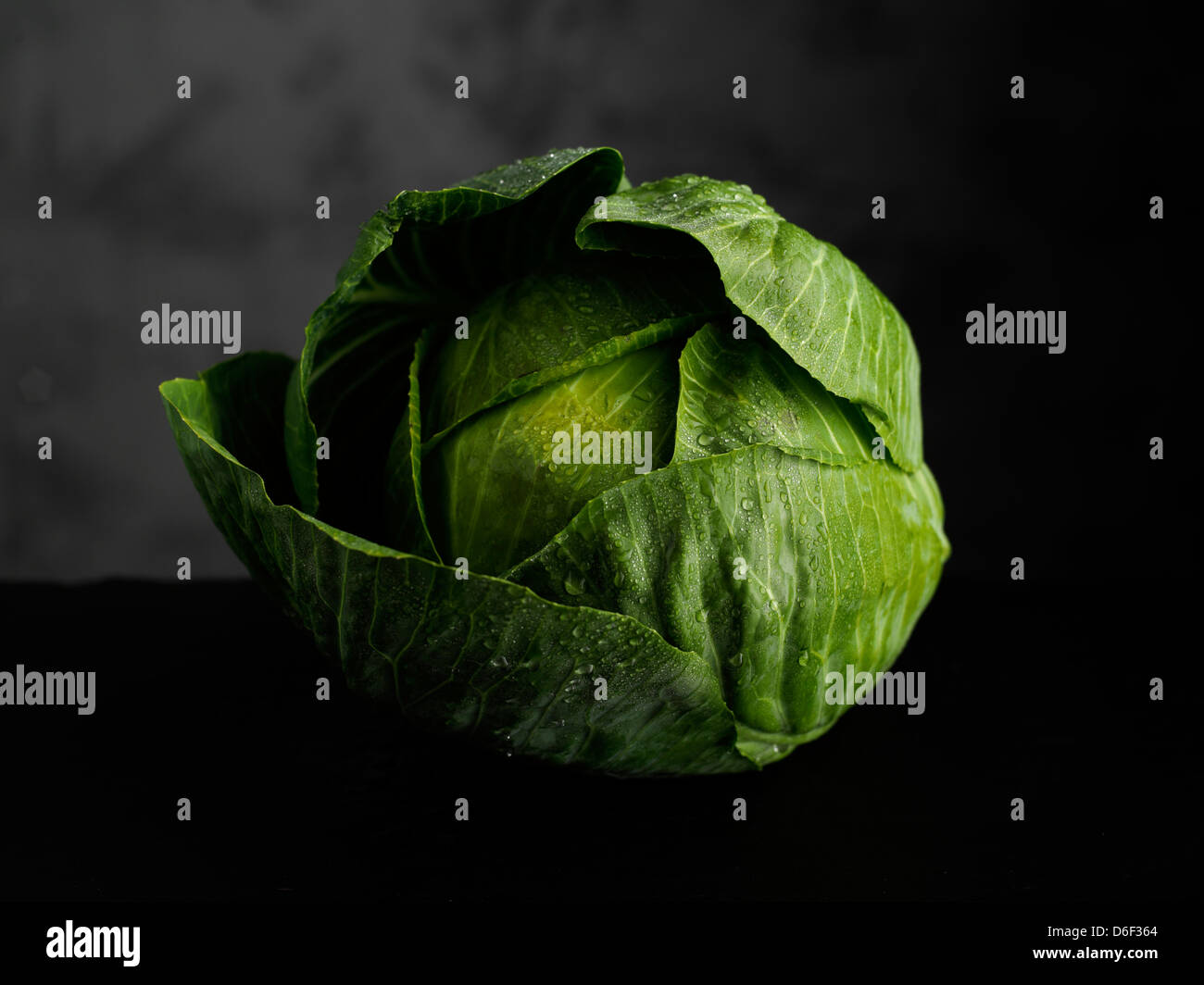 Primos hi-res stock photography and images - Alamy