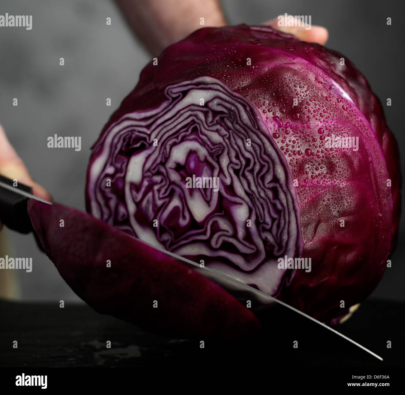 Cutting a Red Cabbage Stock Photo - Alamy