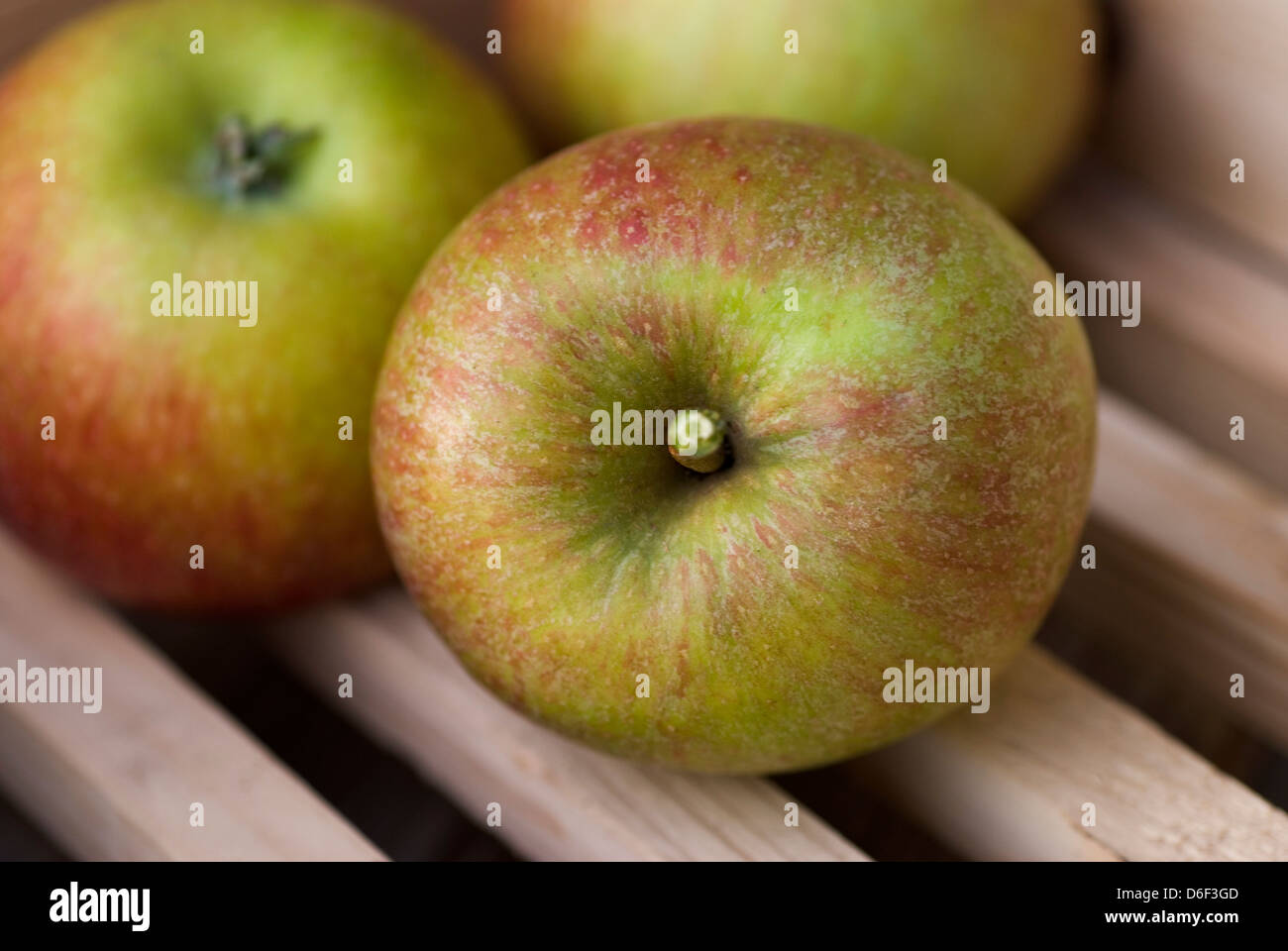 British Coxs Apples High Resolution Stock Photography and Images - Alamy
