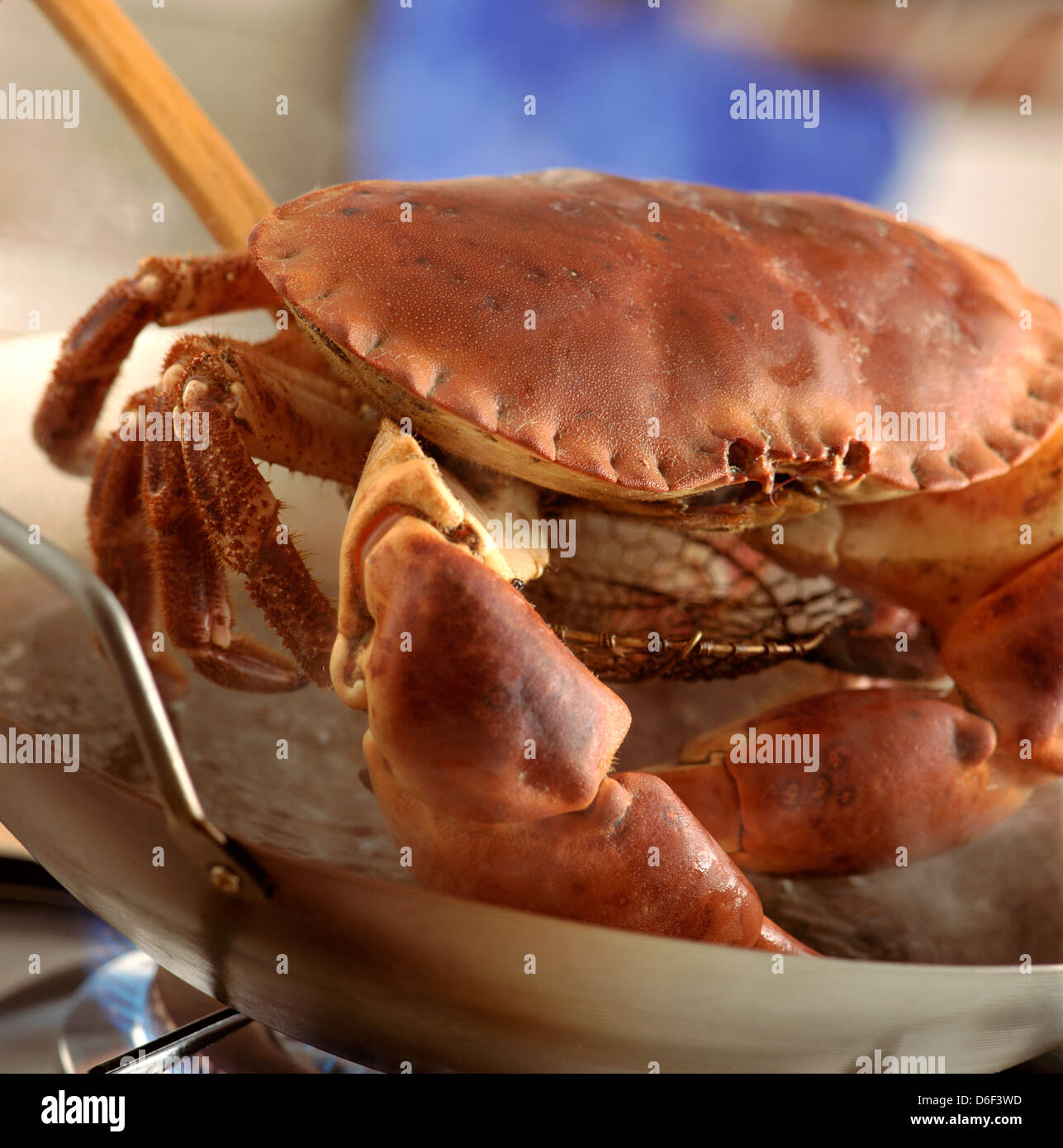 Cooked whole crab hi-res stock photography and images - Alamy