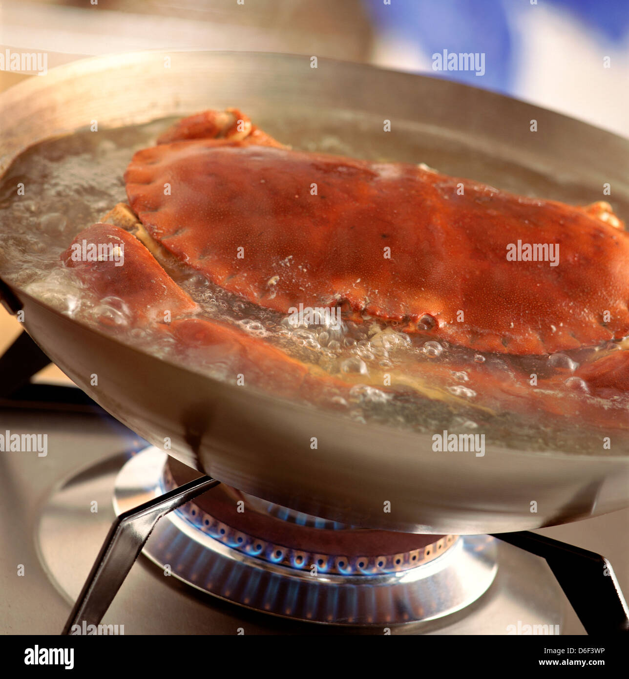 Boiling a Crab Stock Photo - Alamy
