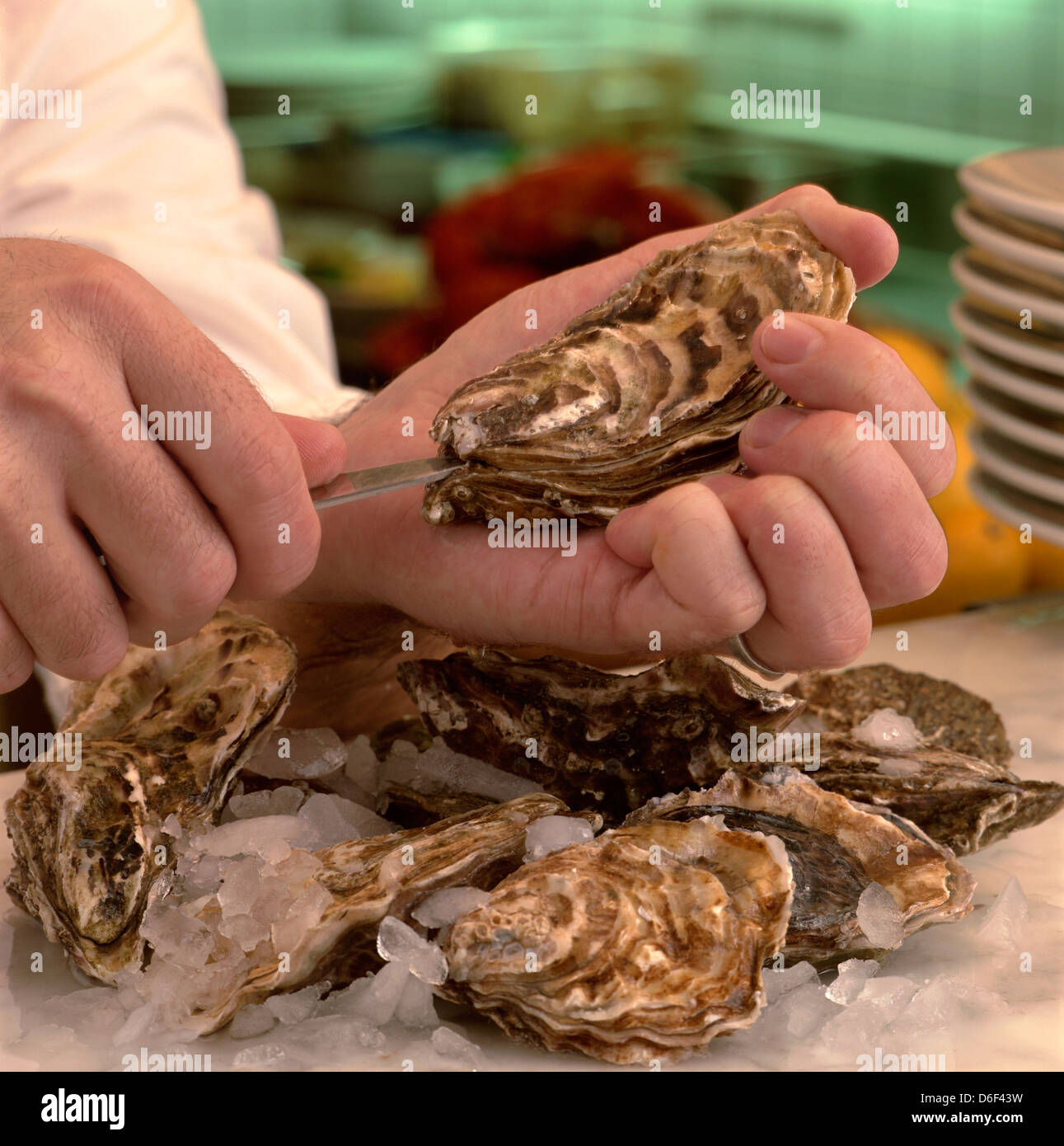 Unopened oysters hi-res stock photography and images - Alamy