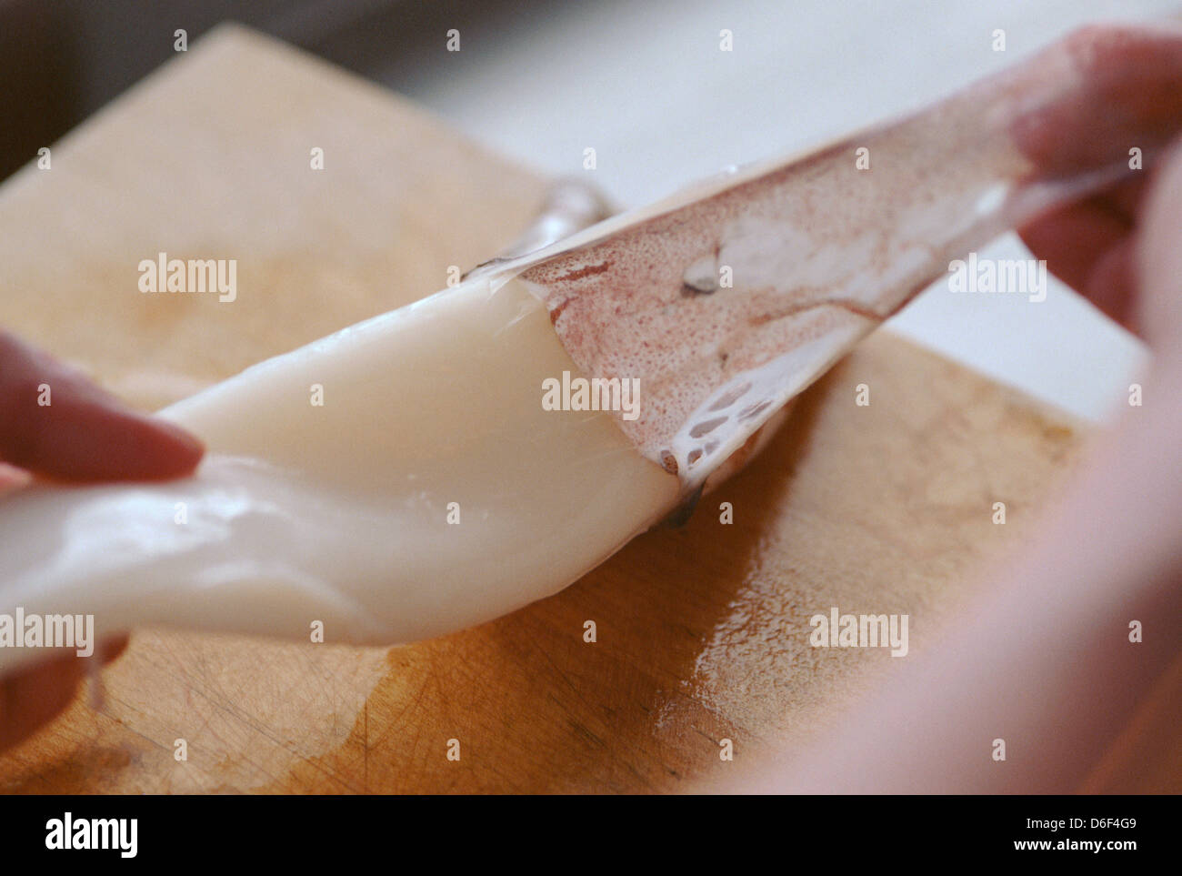 Squid skin colours hi-res stock photography and images - Alamy