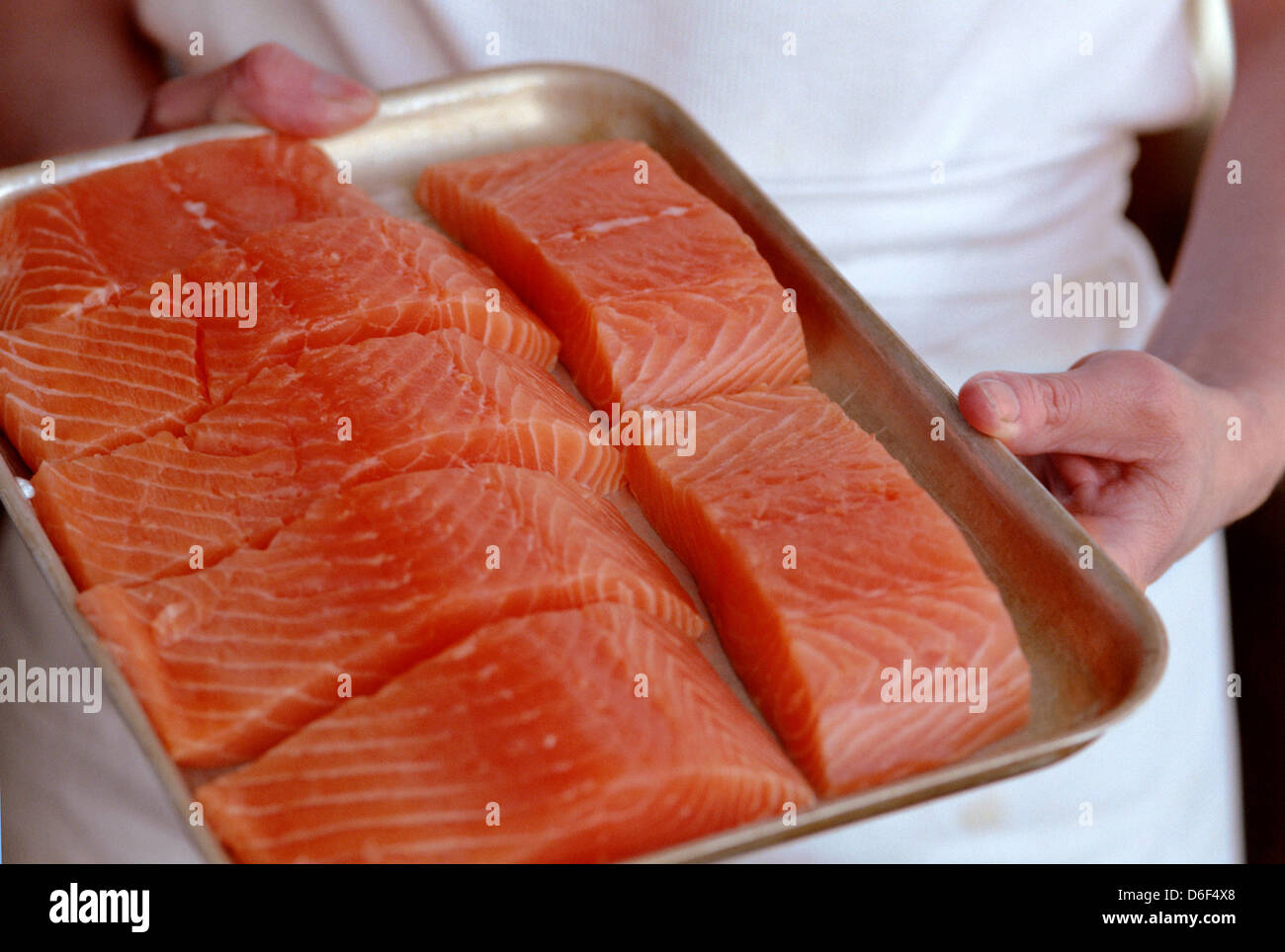 Salmon Paves on Baking Tray Stock Photo - Alamy