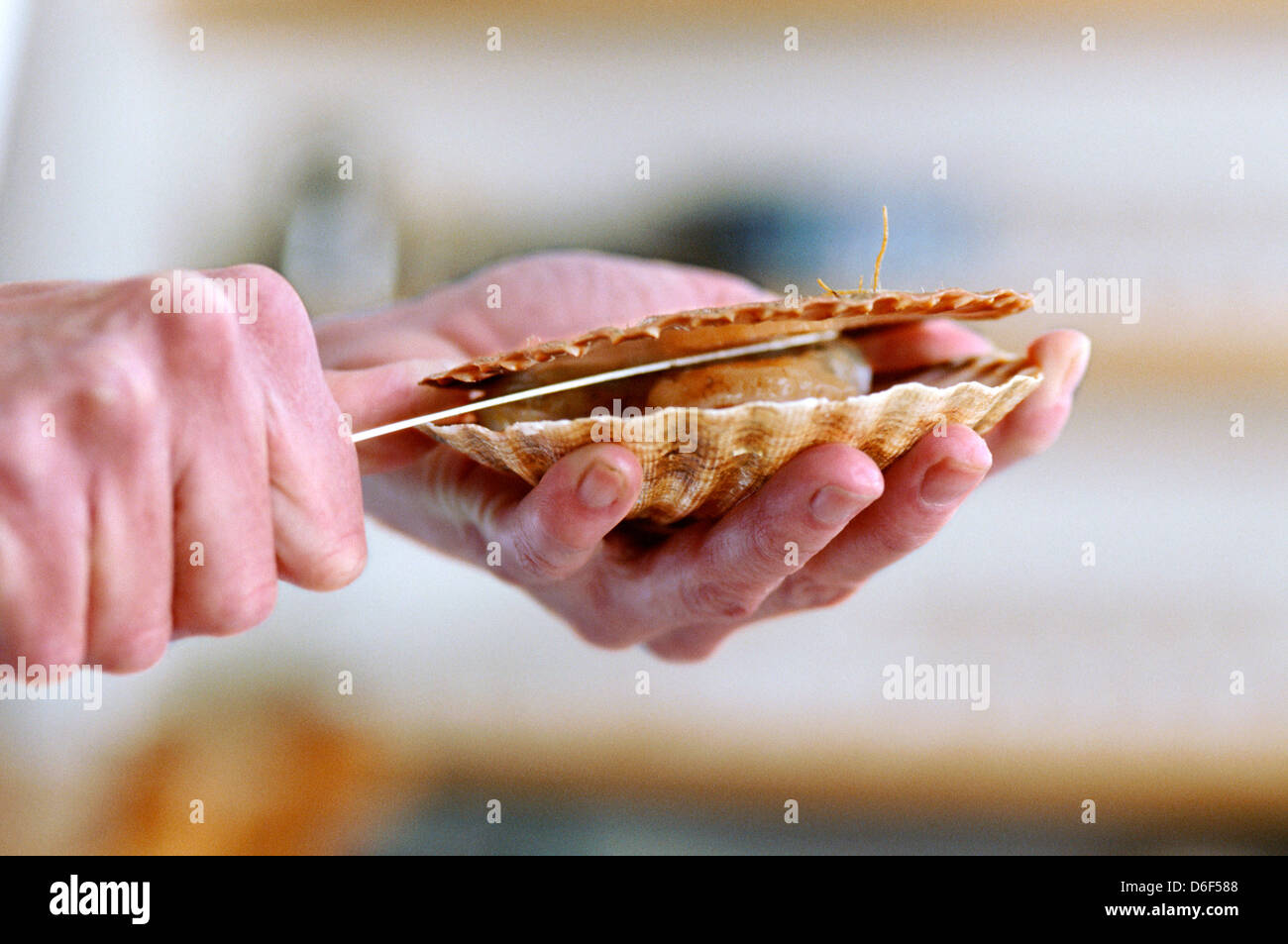 Whole scallops hi-res stock photography and images - Alamy