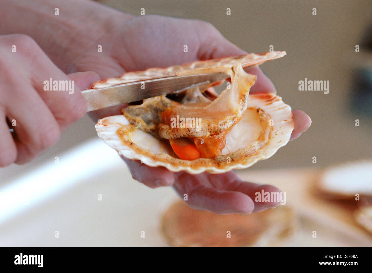 Whole scallops hi-res stock photography and images - Alamy