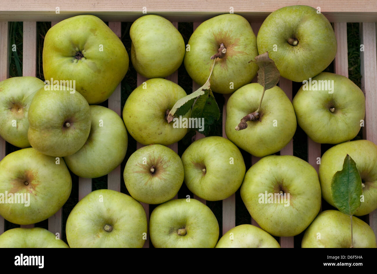 Bramley apples box hi-res stock photography and images - Alamy