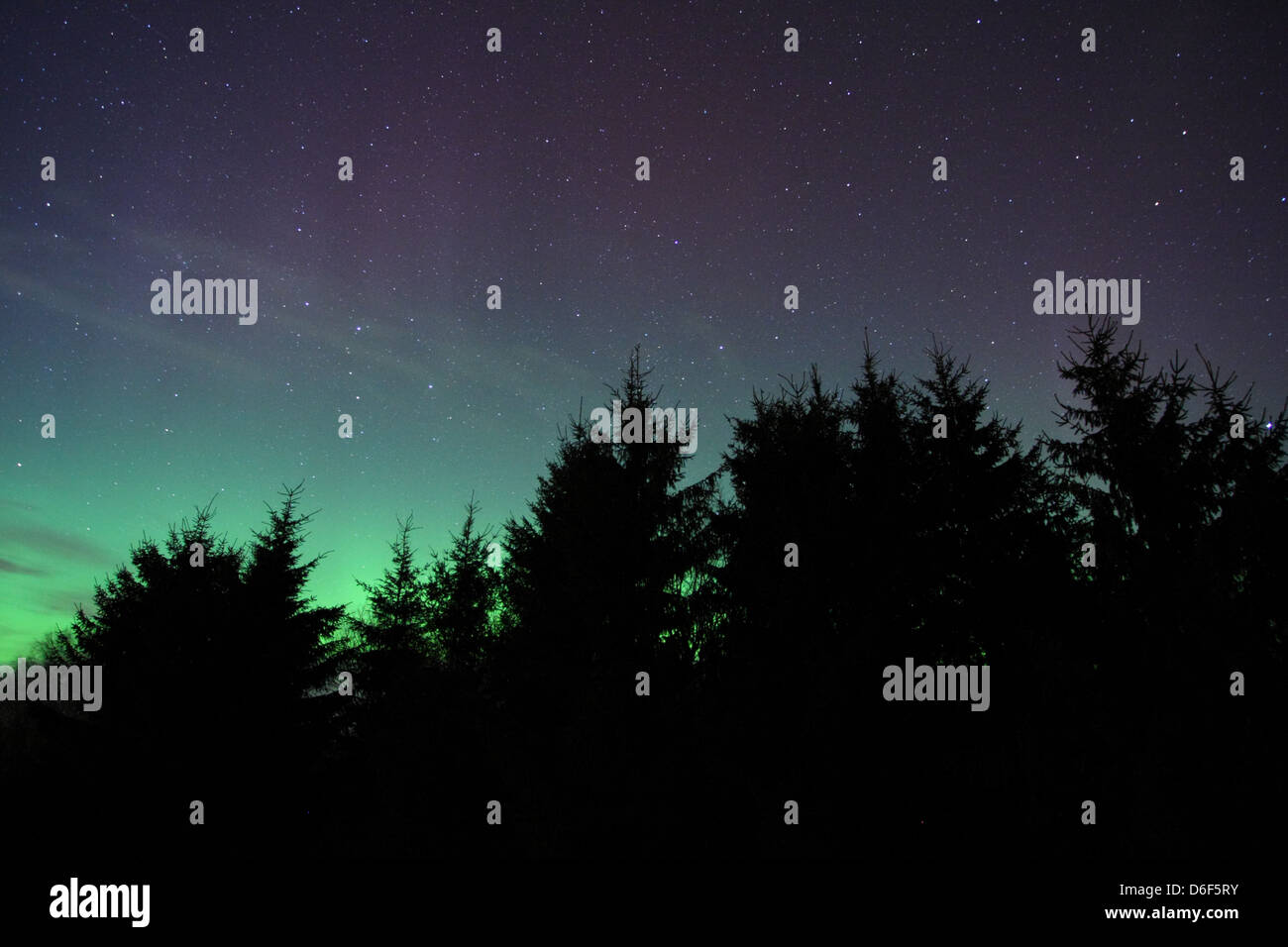Northern lights (Aurora Borealis) in the sky. Europe, Estonia Stock ...