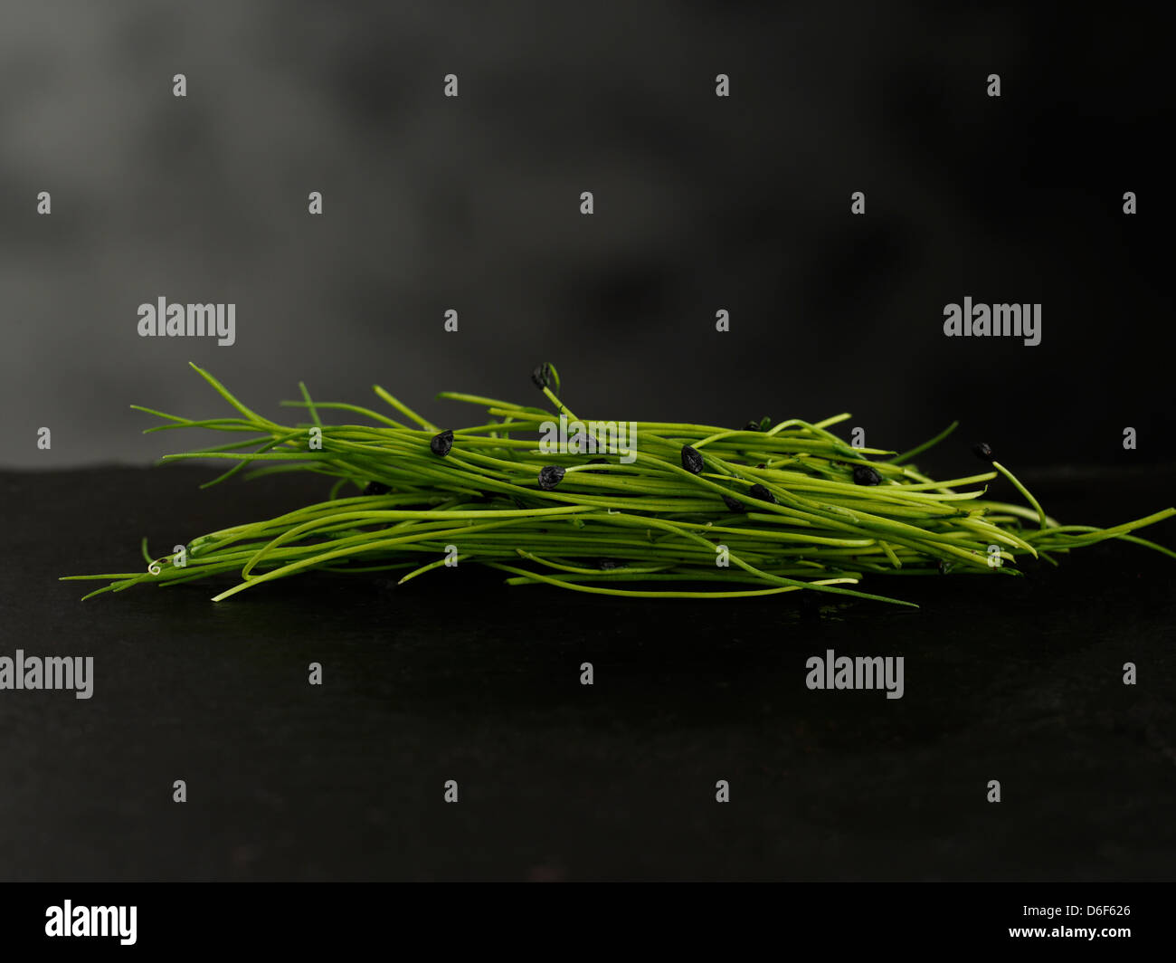 Micro chives hi-res stock photography and images - Alamy