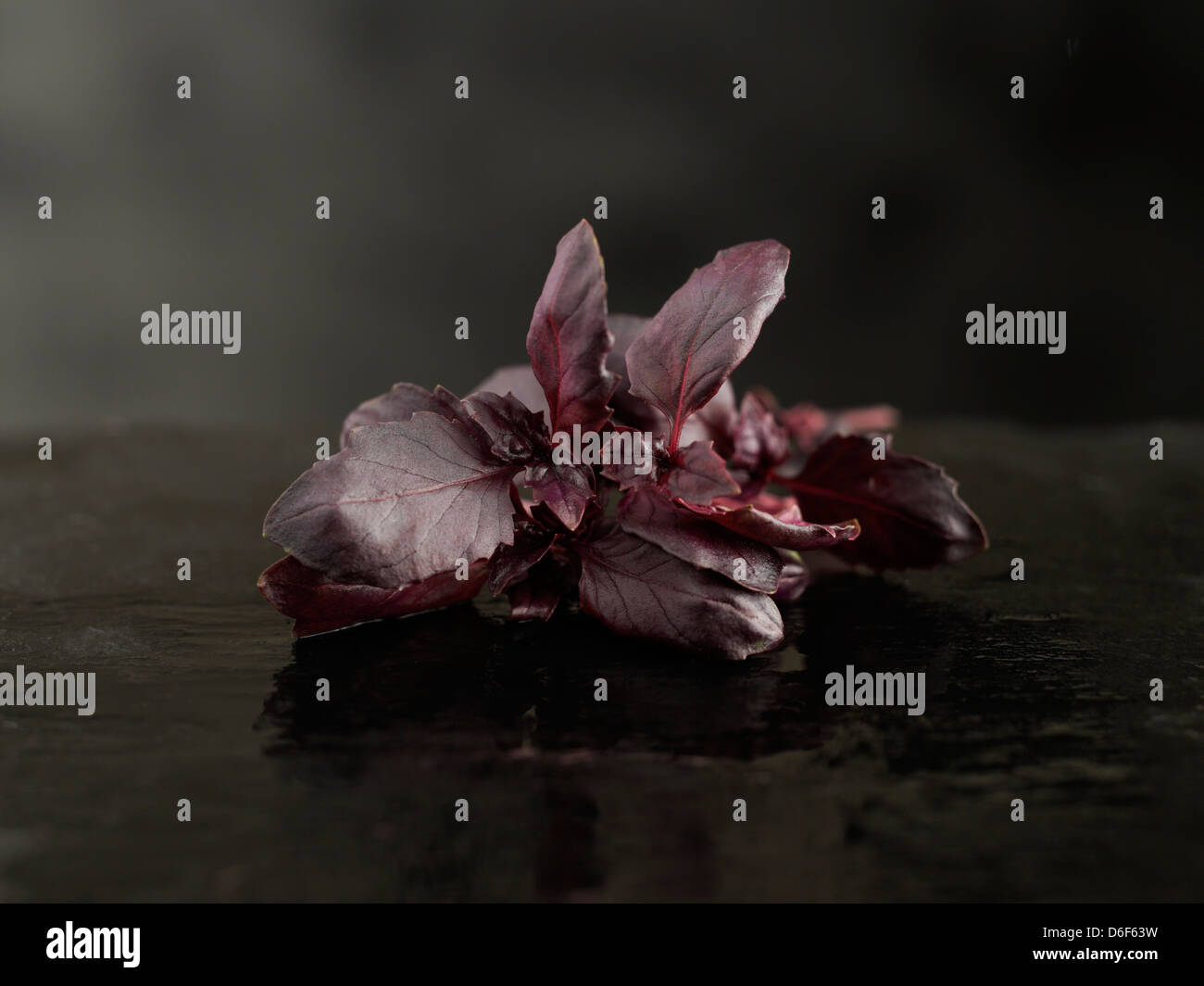 Mini reds hi-res stock photography and images - Alamy