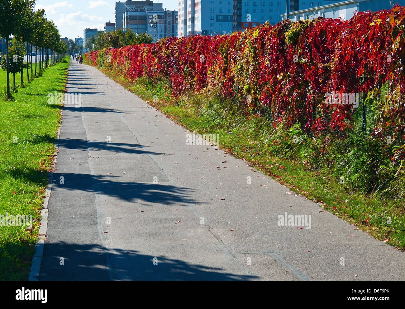 Path way with autumn red wall Stock Photo - Alamy