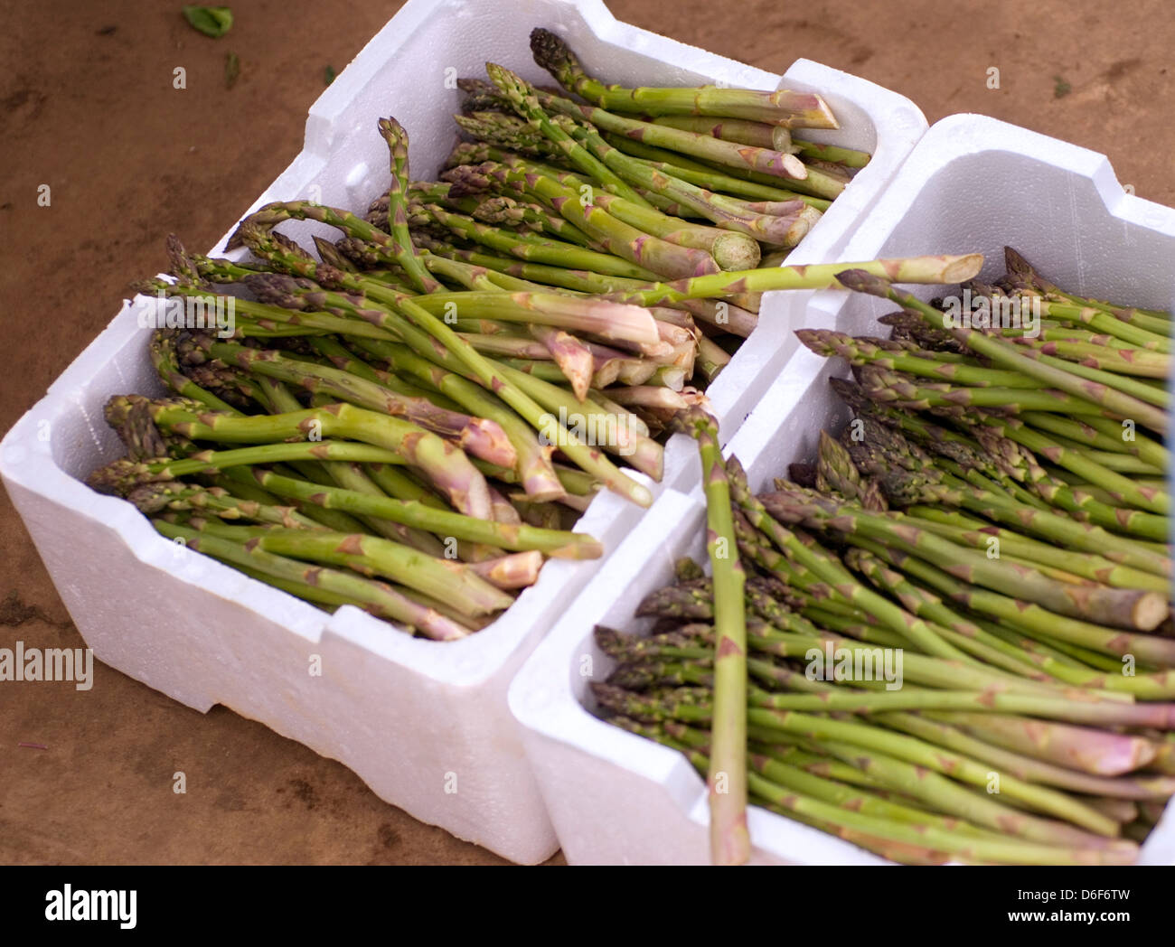 Boxes of Asparagus Stock Photo - Alamy