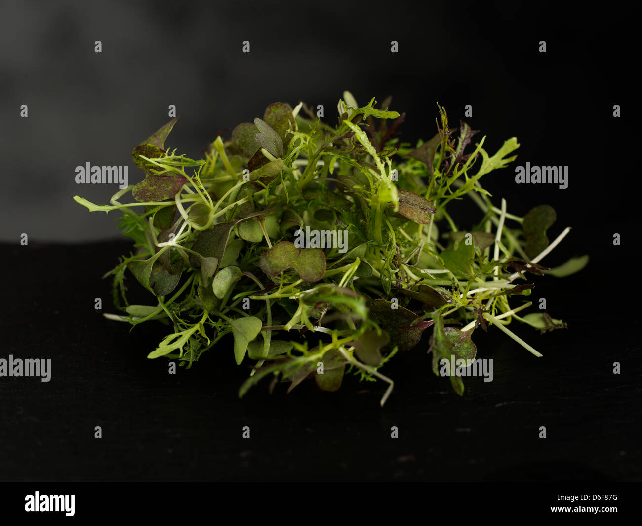 Red Mustard Frills Stock Photo - Alamy