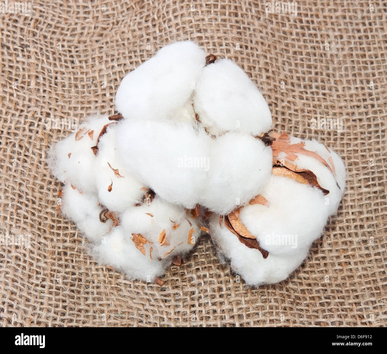 Cotton Sack High Resolution Stock Photography and Images - Alamy