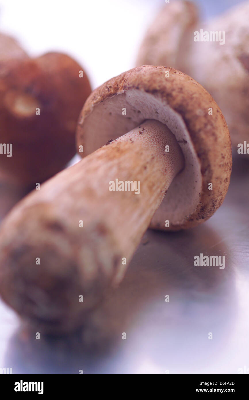 Porcinis hi-res stock photography and images - Alamy