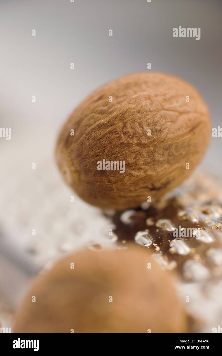 Nutmeg on Grater Stock Photo - Alamy