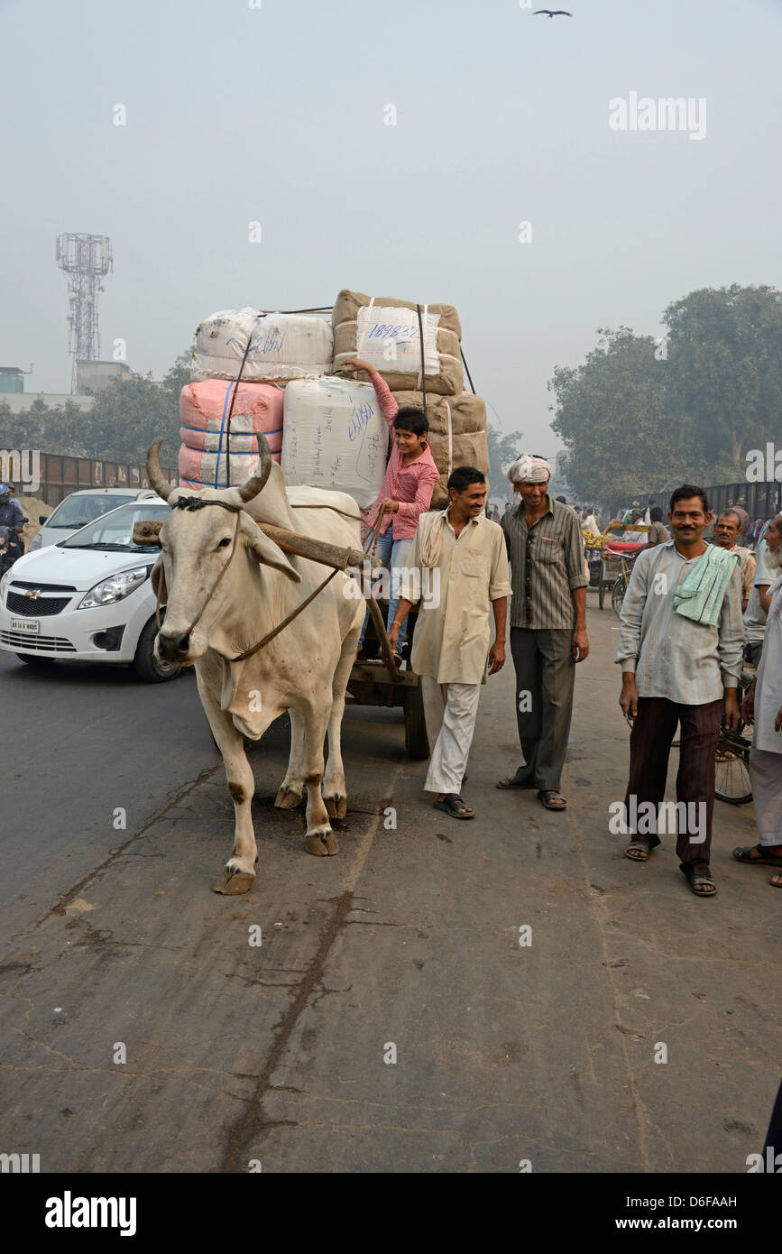 A sacred cow pulling a cartload of goods in Old Delhi in India Stock ...