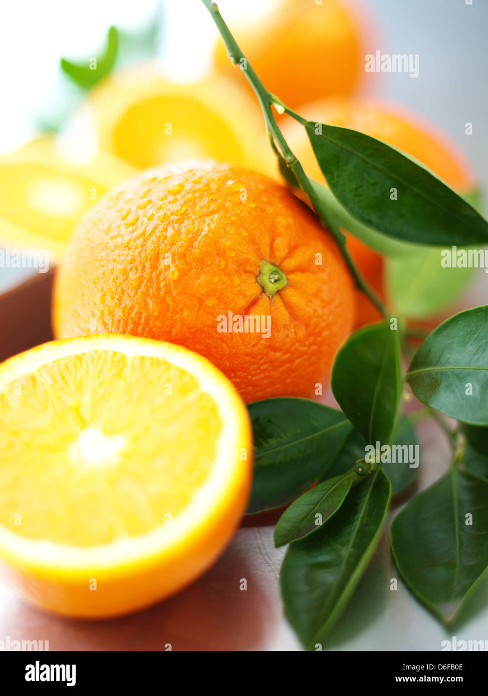 Oranges and Leaves Stock Photo - Alamy