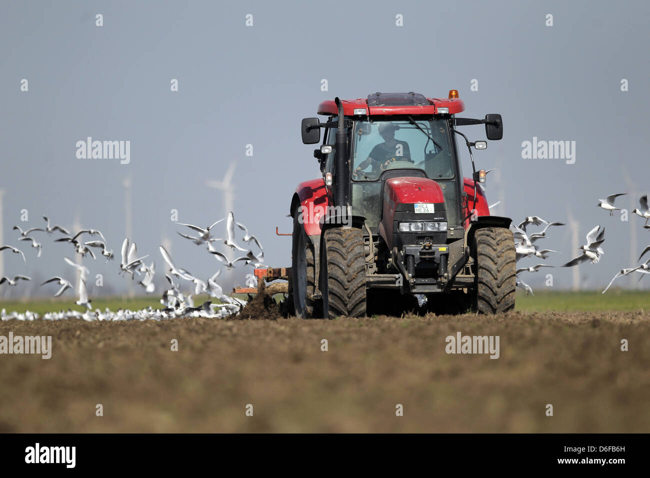 Wesselburener Deichhausen, Germany, tractor with harrow on the field ...