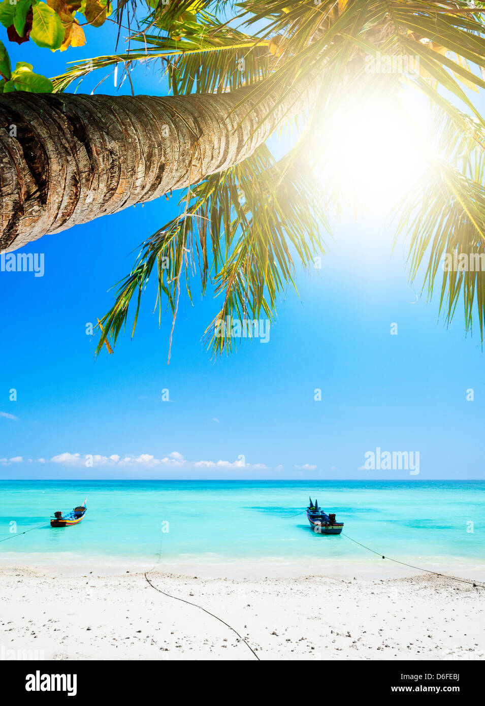 Tropical beach, vertical composition Stock Photo - Alamy