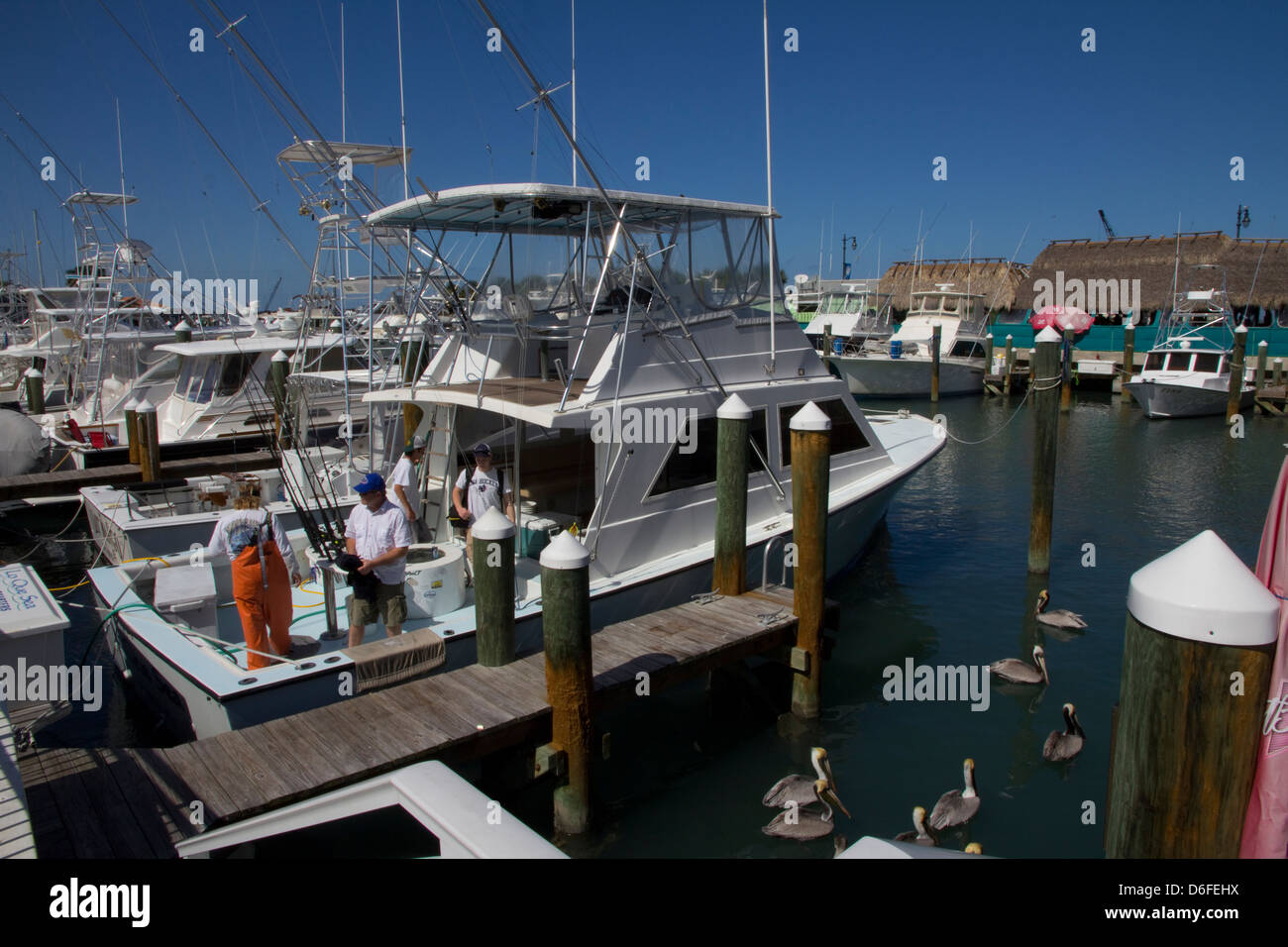 The charter vessel Lo Que Sea is back in her slip at Ft. Pierce Marina ...