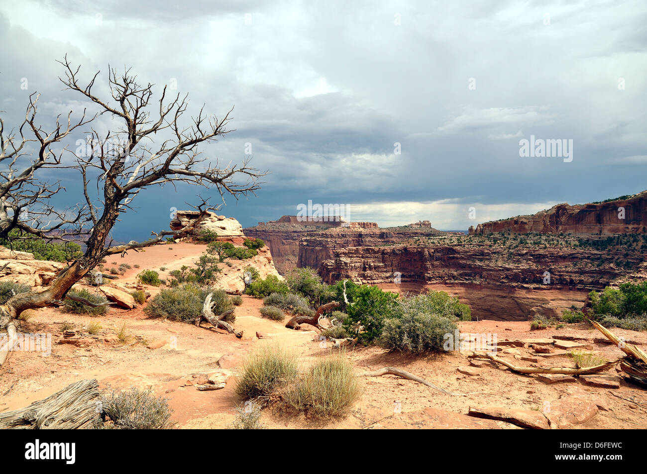 Grand view point road canyonlands hi-res stock photography and images ...