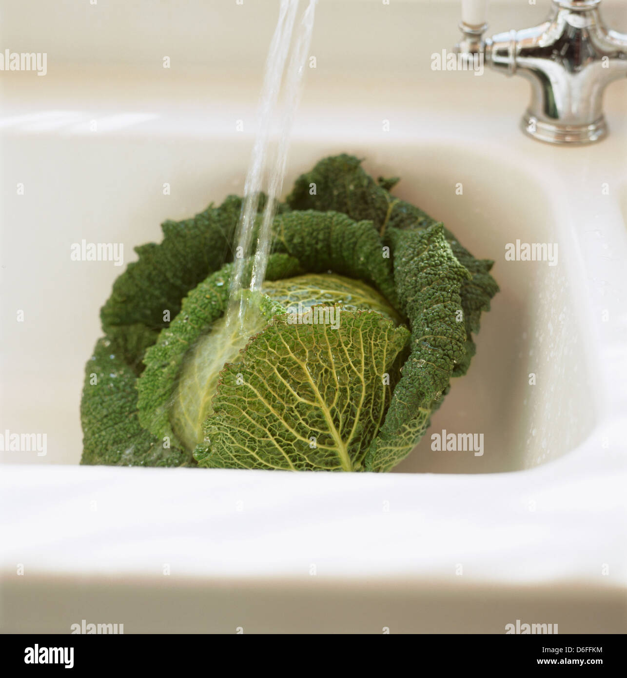 Savoys hi-res stock photography and images - Alamy