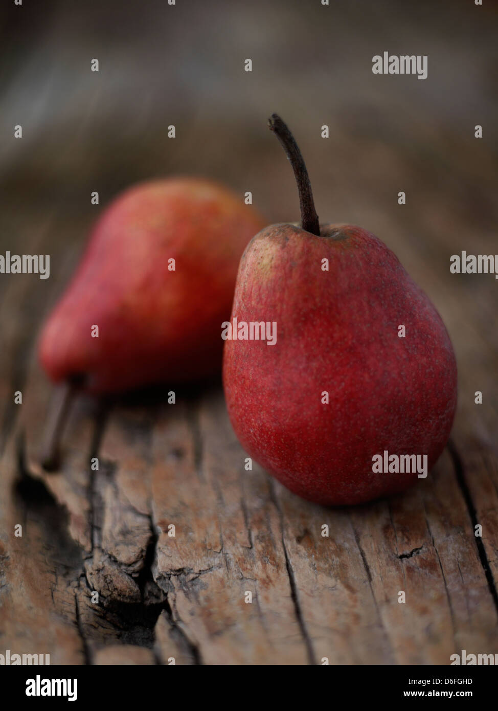 Red Williams Pears Stock Photo - Alamy