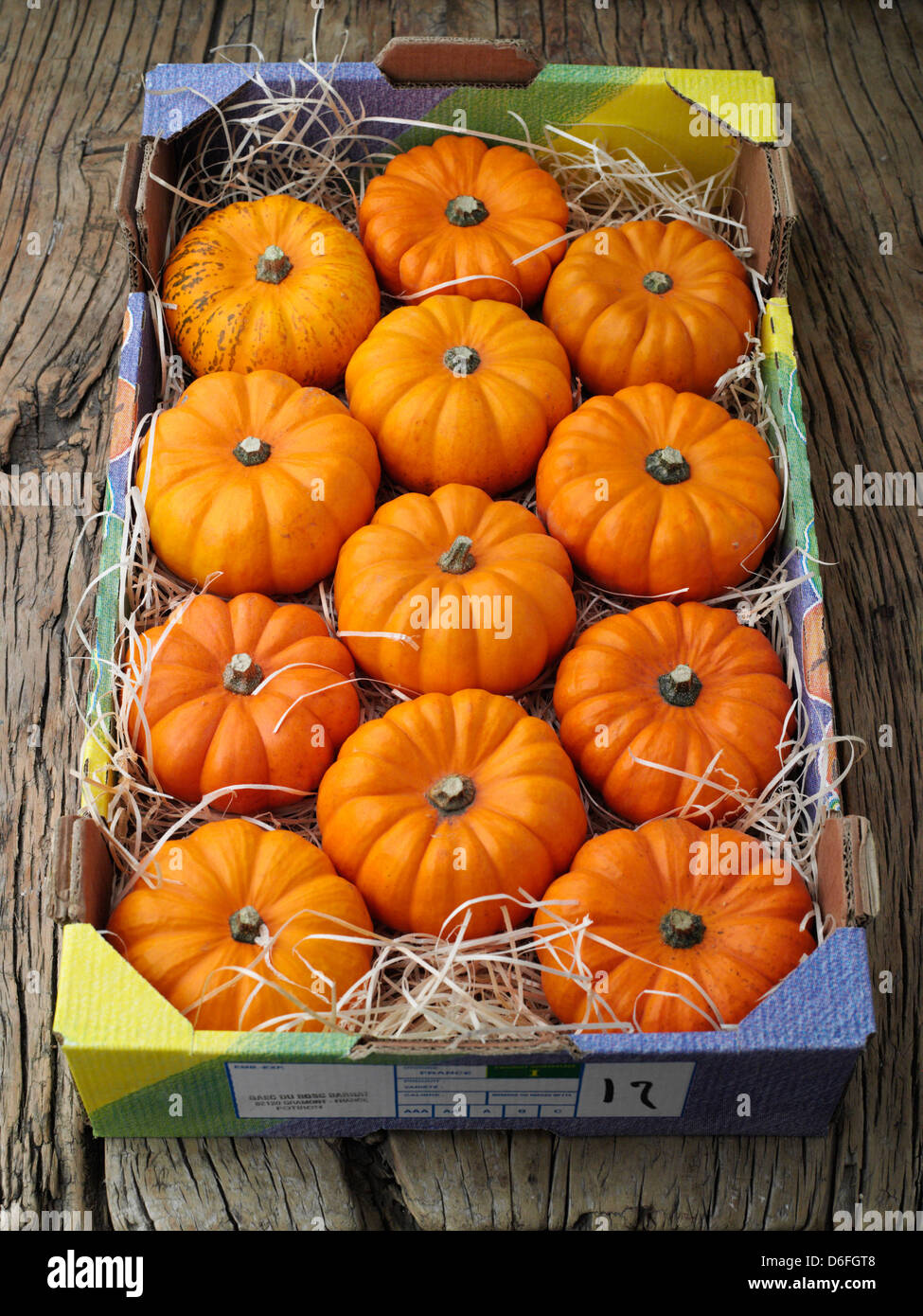 Box of Munchkin Pumpkins Stock Photo - Alamy