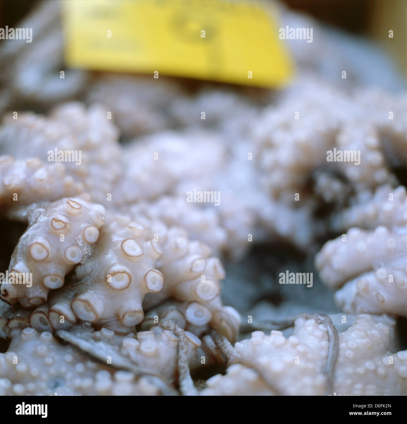 Octopus on Fish Market Stock Photo - Alamy