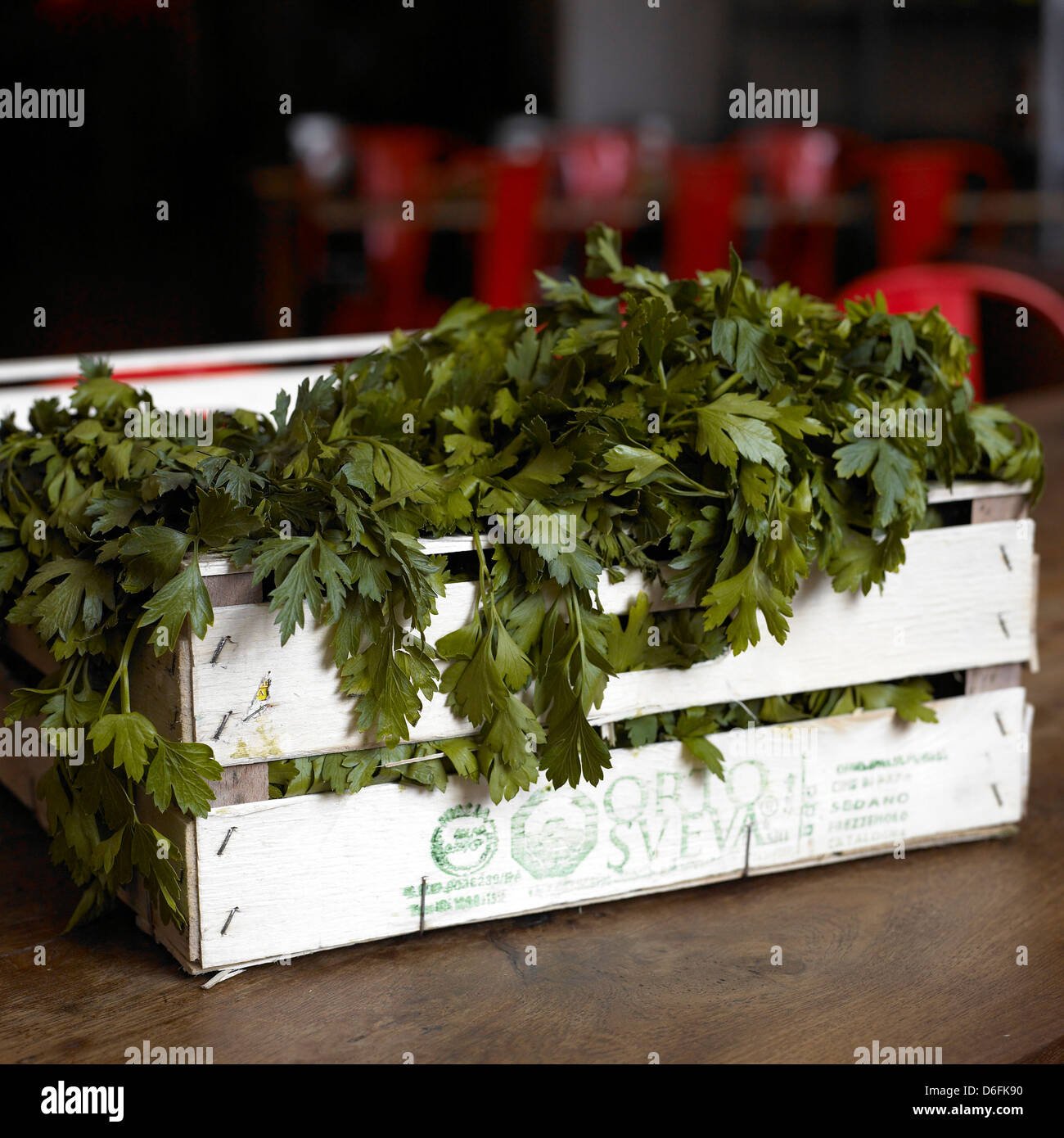 Photos in a box hi-res stock photography and images - Alamy