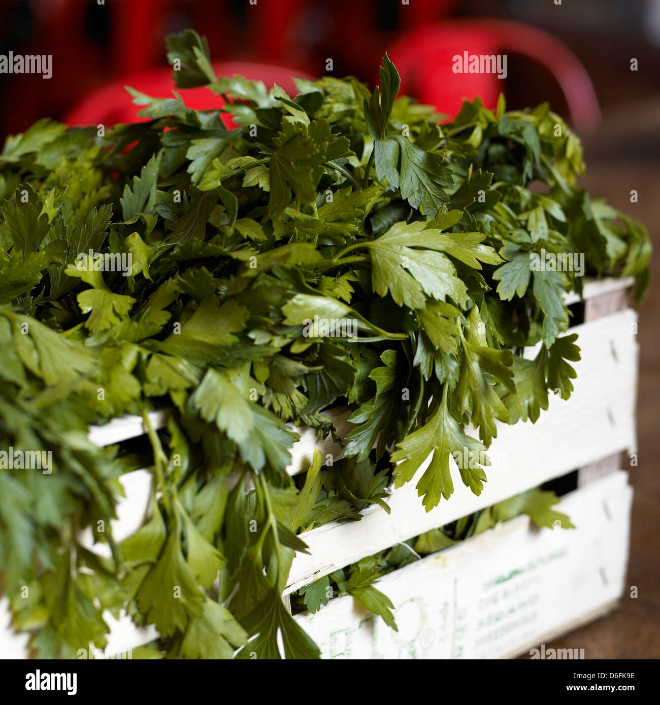 Photos in a box hi-res stock photography and images - Alamy