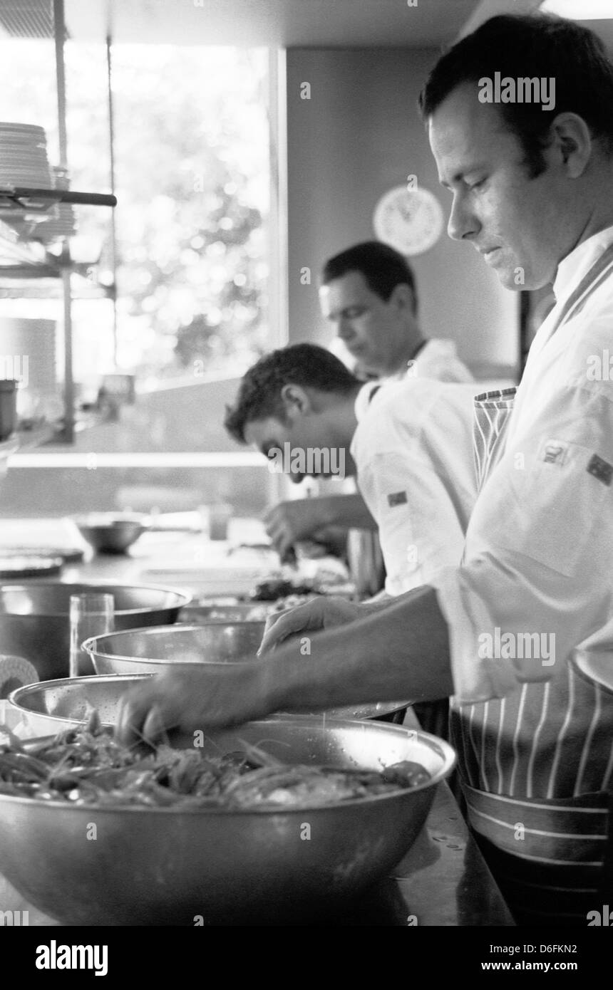 Chefs in Kitchen Stock Photo - Alamy