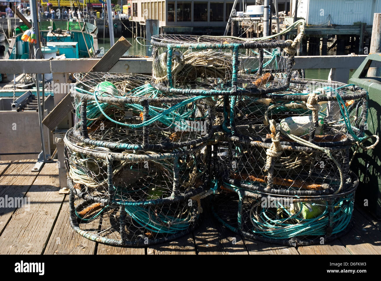 Crab and shellfish photos hi-res stock photography and images - Alamy