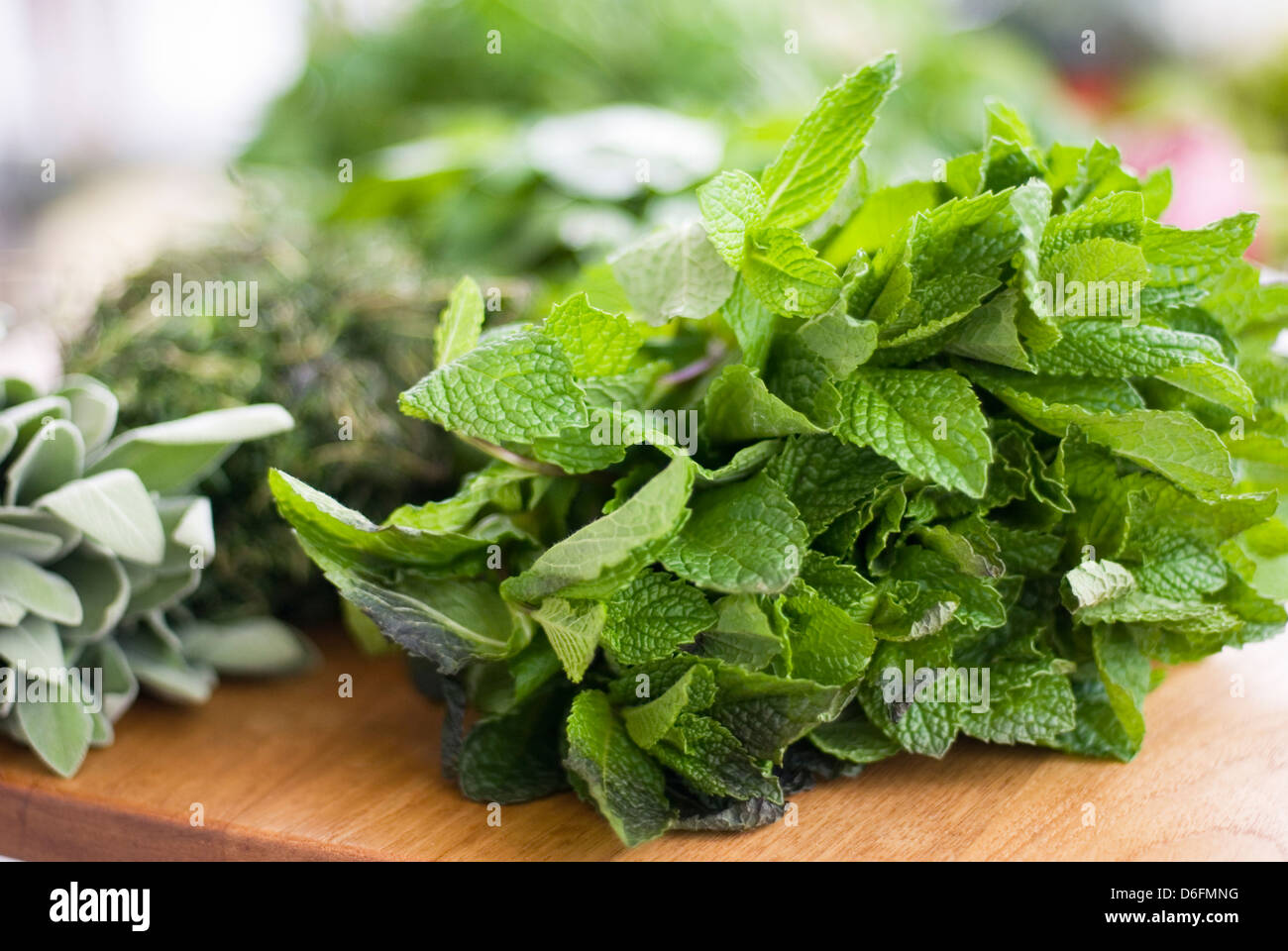 Herbs herbs hi-res stock photography and images - Alamy
