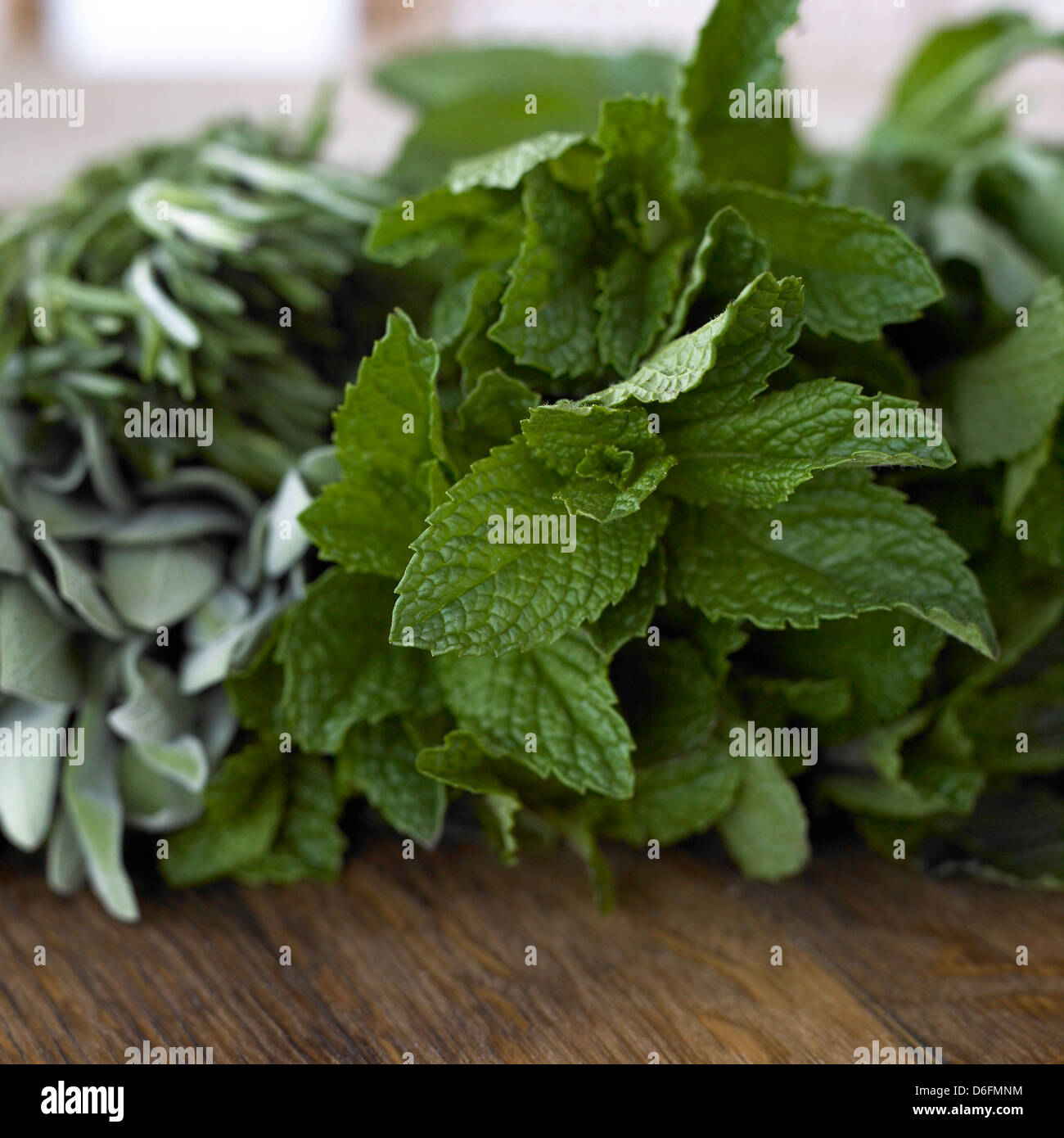 Herbs and herbs hi-res stock photography and images - Alamy