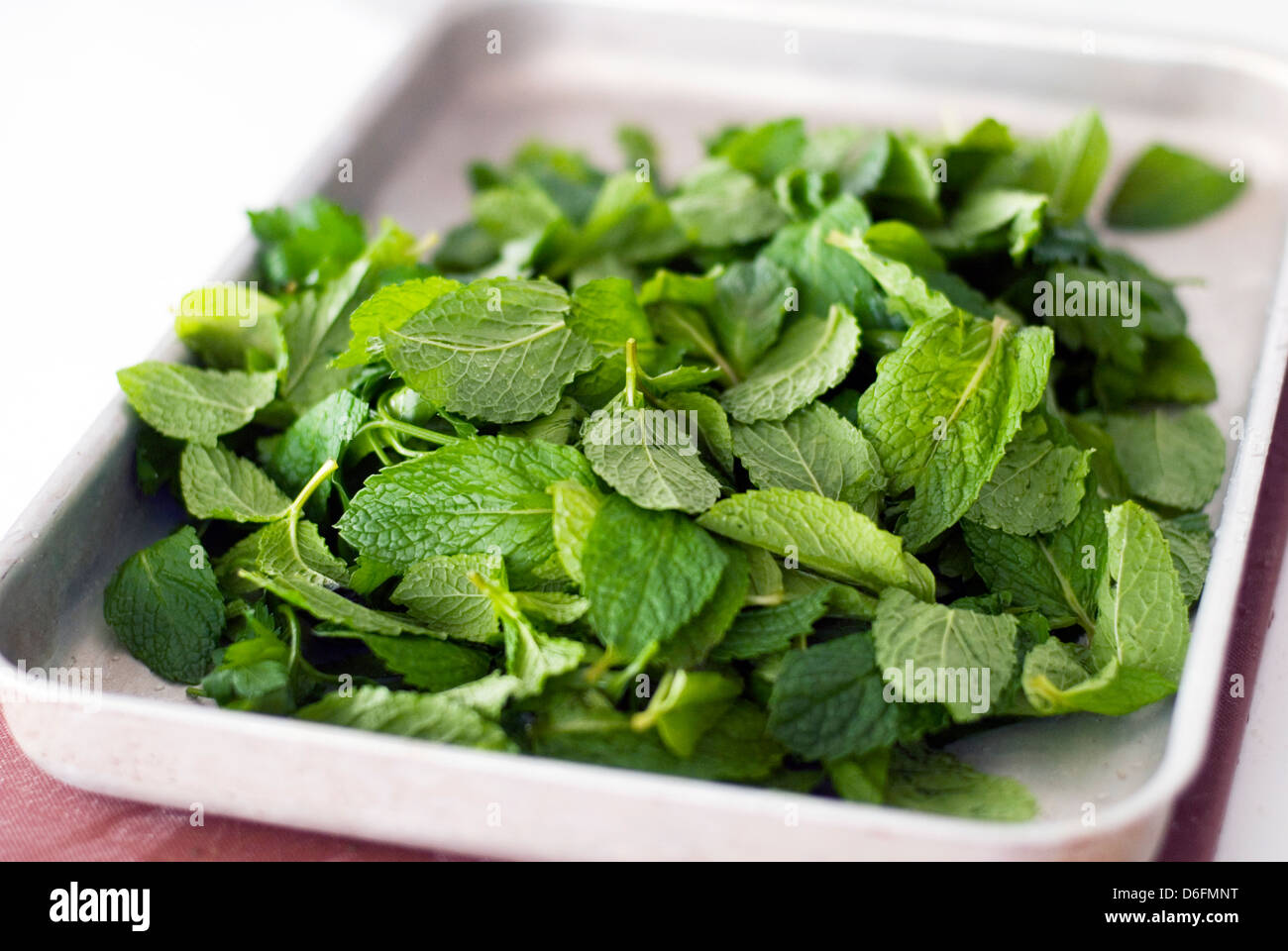 Photos of mint hi-res stock photography and images - Alamy
