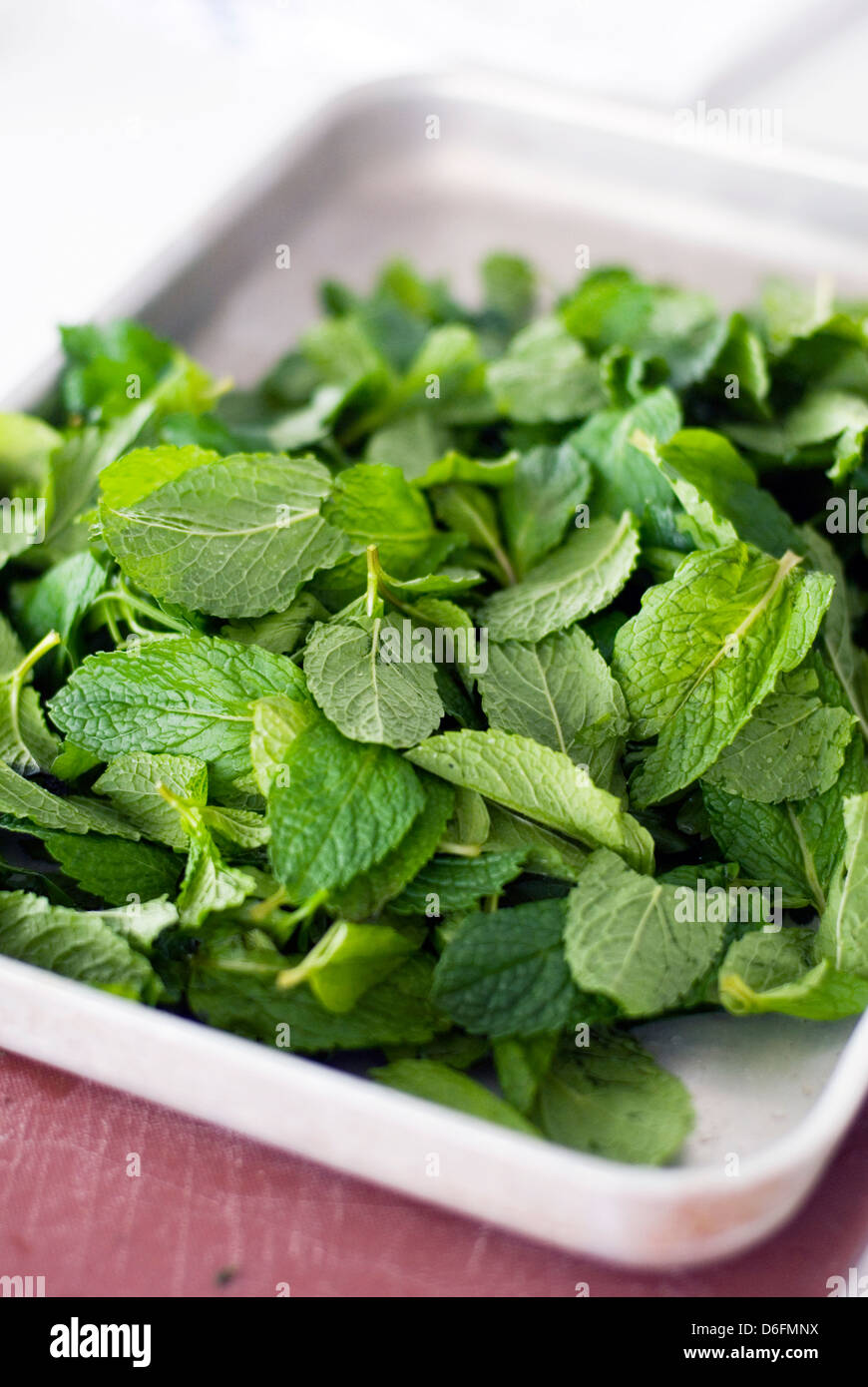 Photos of mint hi-res stock photography and images - Alamy