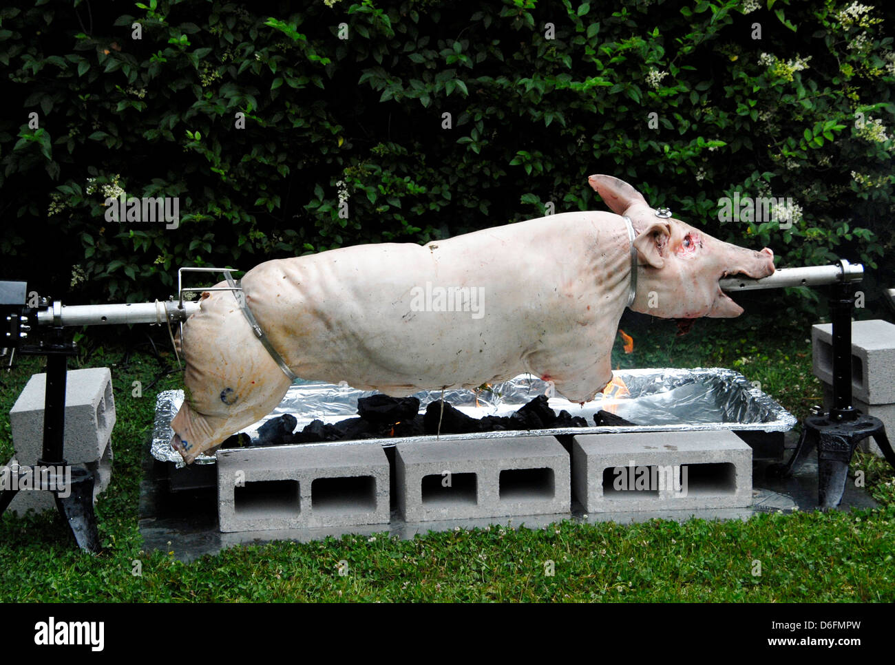 Spit Roast Pig High Resolution Stock Photography and Images - Alamy