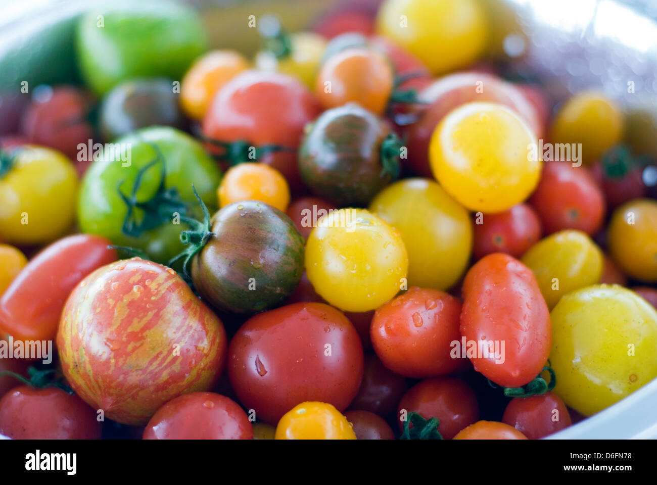 Tomato varieties hi-res stock photography and images - Alamy