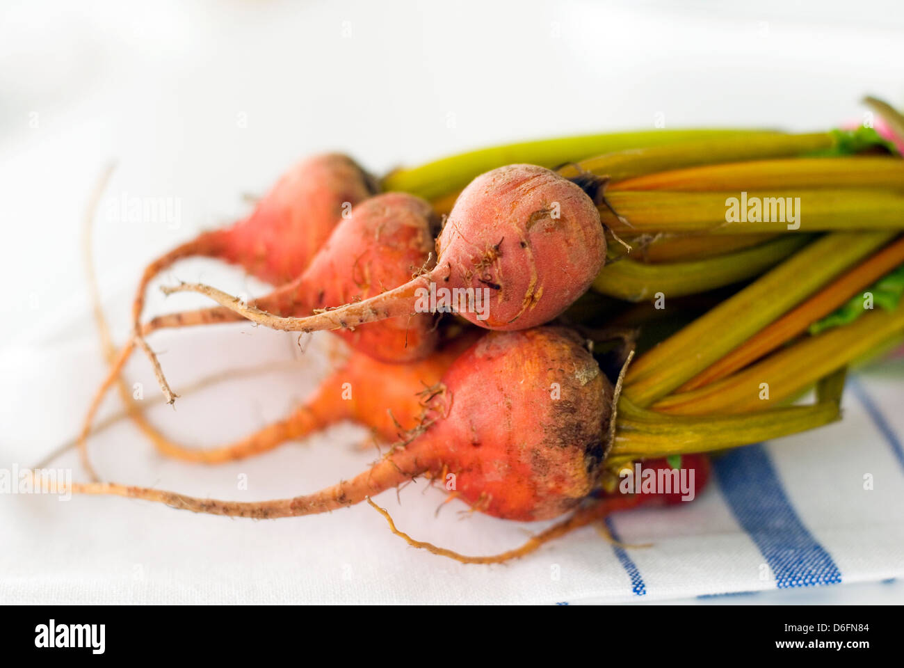Golden beetroot hi-res stock photography and images - Alamy