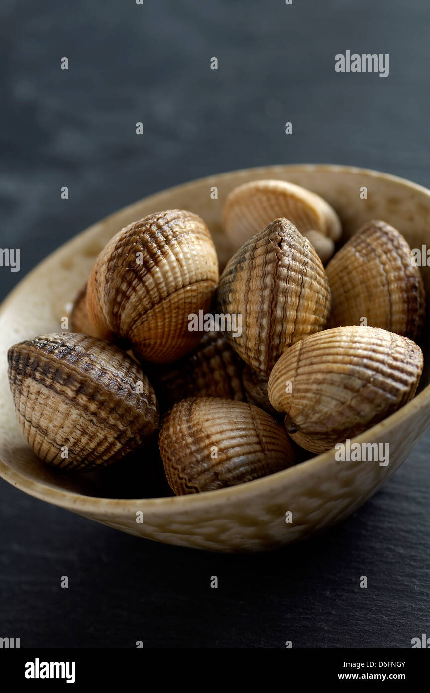 Cockles High Resolution Stock Photography and Images - Alamy
