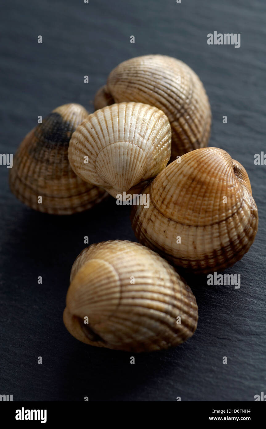 Cockles hi-res stock photography and images - Alamy